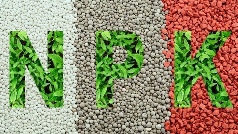 N-P-K-Fertilizer | Farmworx Kenya | Agricultural Solution Center