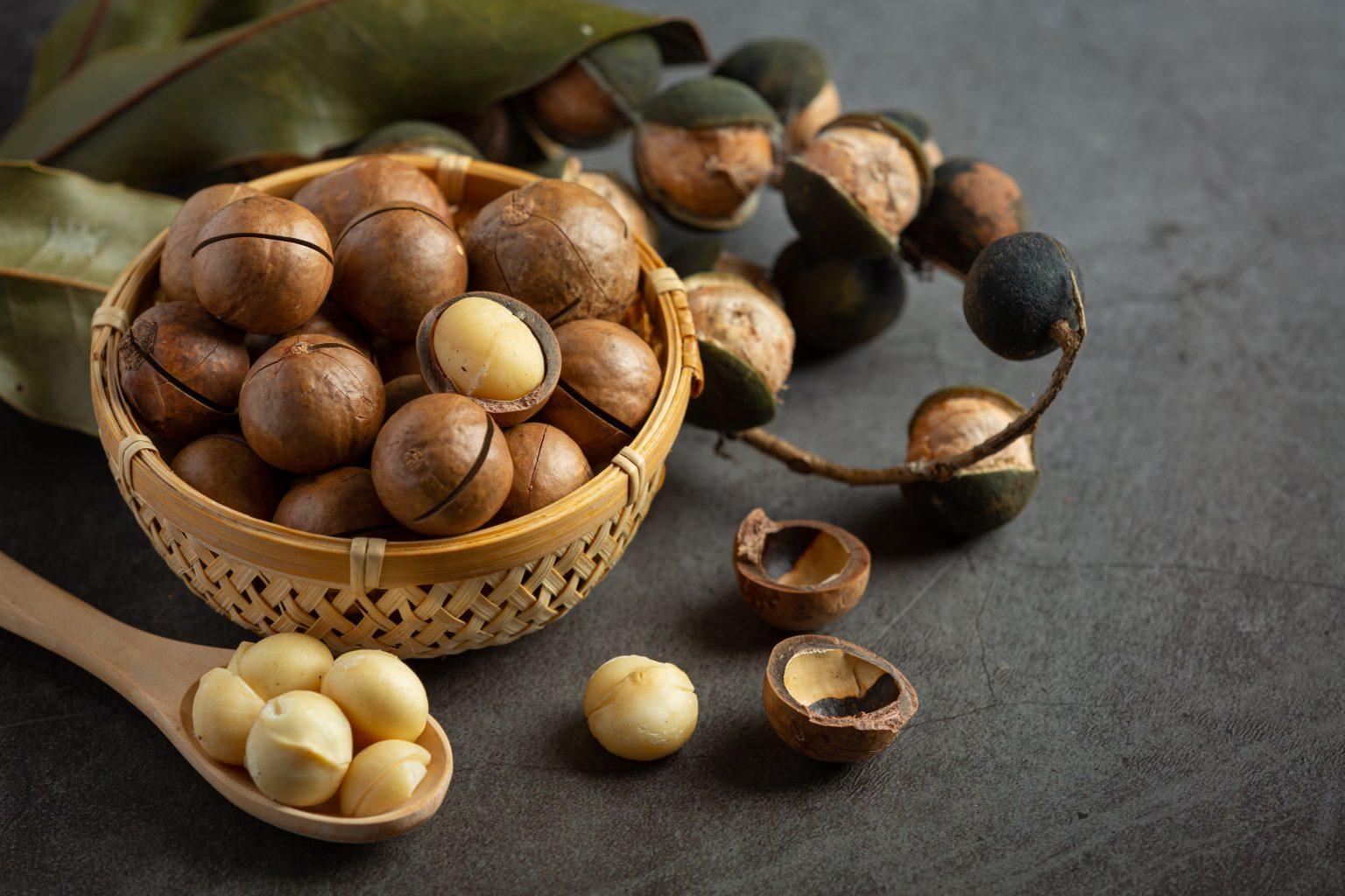 heap of macadamia raw seed | Farmworx Kenya | Agricultural Solution Center